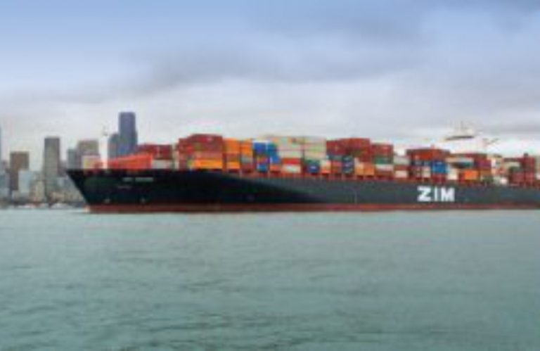 ZIM deploys artificial intelligence to root out misdeclared cargoes ...