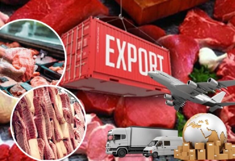 DGFT Sets New Guidelines for Halal Meat Exports - Maritime Gateway